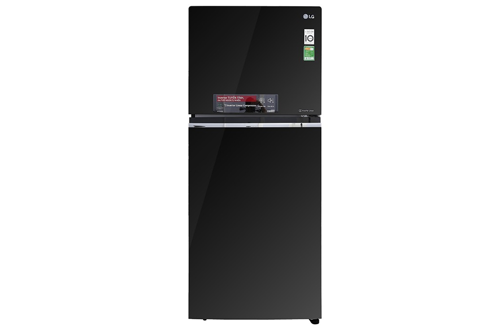 LG Inverter 393 lít GN-L422GB